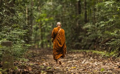 Thai Forest Tradition Sarasota Forest Monastery A Buddhist Monastery