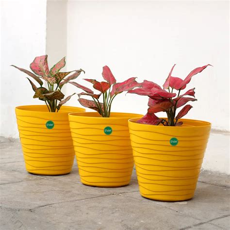 Colorful Plastic Planters Round Plastic Planters Big Size With Many
