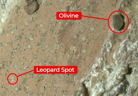 Has Nasa Found Evidence Of Ancient Life On Mars An Expert Examines The Latest Discovery