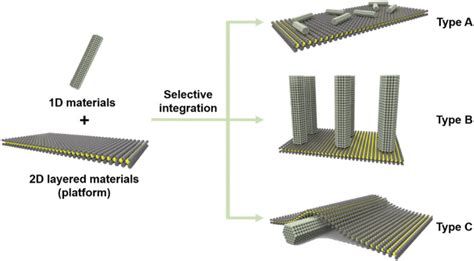 Configuration Of 2d1d Mixed Dimensional Heterostructures Type A Download Scientific Diagram