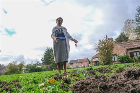 Jacht Op Everzwijn Geopend Nadat Dier Tuin Van Paula 85 Omwoelt “dier Houdt Zich