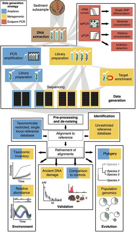 2 A Schematic Of The Complete Sedadna Workflow After Subsampling The
