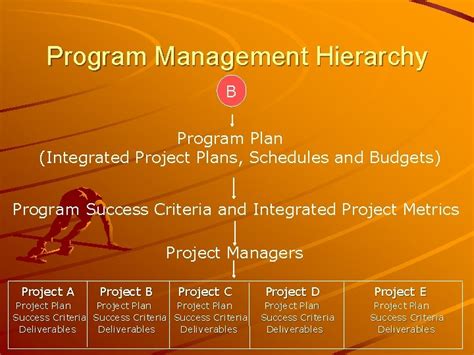 Project Management Vs Program Management Strategies For Transition