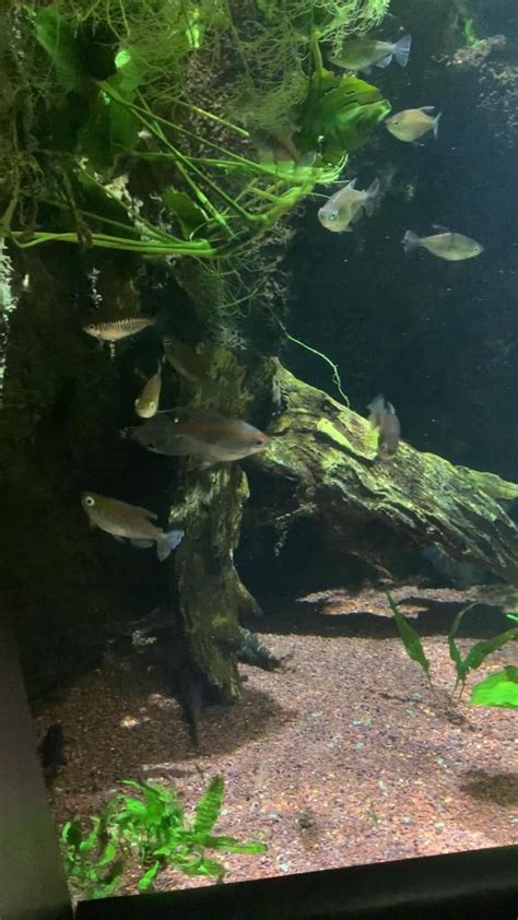 Test Object Detection Dataset By Team Ardra