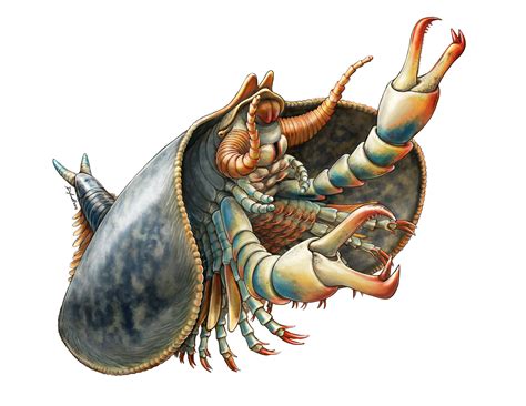 Home Danielle Dufault