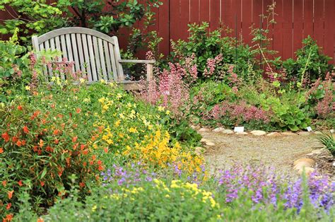 Feast Your Eyes On Gorgeous Bay Area Native Plants And Wildlife Habitat