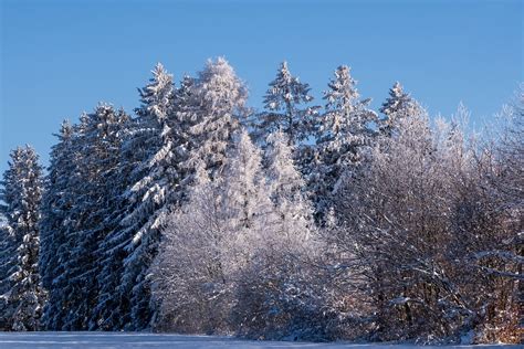 스마트콘텐츠연구소에서 주목해야 할 5가지 트렌드