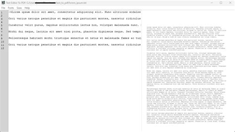 Text Formatting Application To Pdf