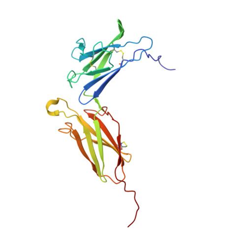 Gene P48551 Protein Ifnar2 Overview Cansarai