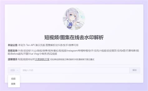 GitHub ime vue page vue短视频 图集去水印解析页面
