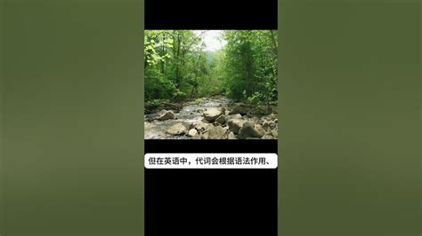 中文代词和英文代词有什么差别？ 英语入门单词 英文语法 初级英文 零基础学英语 Youtube