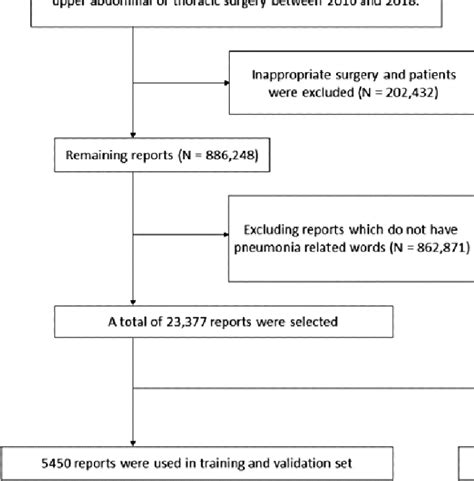 Figure 1 From An Attention Model With Transfer Embeddings To Classify Pneumonia Related