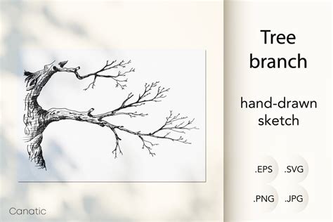 Tree Branch Hand Drawn Sketch