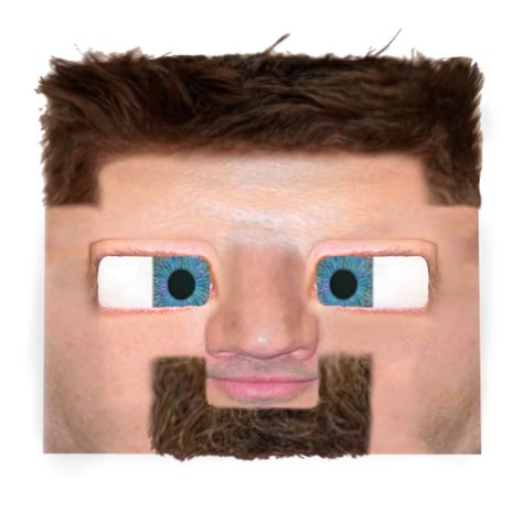 Minecraft Steve In Real Life Fandom
