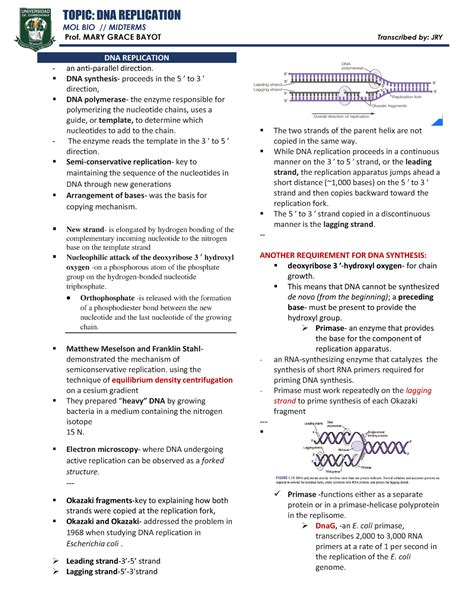 DNA Replication Outline Molbio Midterm MOL BIO MIDTERMS Prof MARY GRACE BAYOT