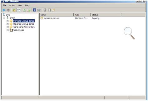 Dns Server Windows Server 2008 Tutoriales Para Novatos