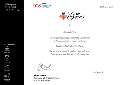 Tcsgems Somnath Patra