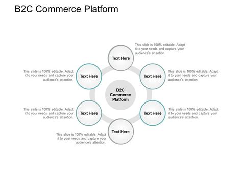 B2c Commerce Platform Ppt Powerpoint Presentation Visual Aids Files Cpb