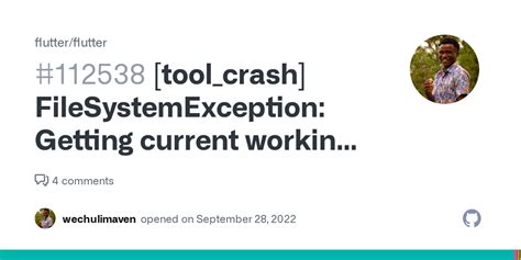 Toolcrash Filesystemexception Getting Current Working Directory