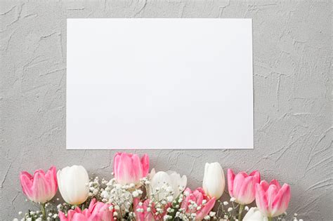 분홍색 튤립과 흰색 Gypsophila 꽃 꽃다발은 세련된 회색 돌 배경에 있습니다 어머니의 날 생일 축하 개념 텍스트 공간을 복사합니다 모형 공휴일에 대한 스톡 사진 및