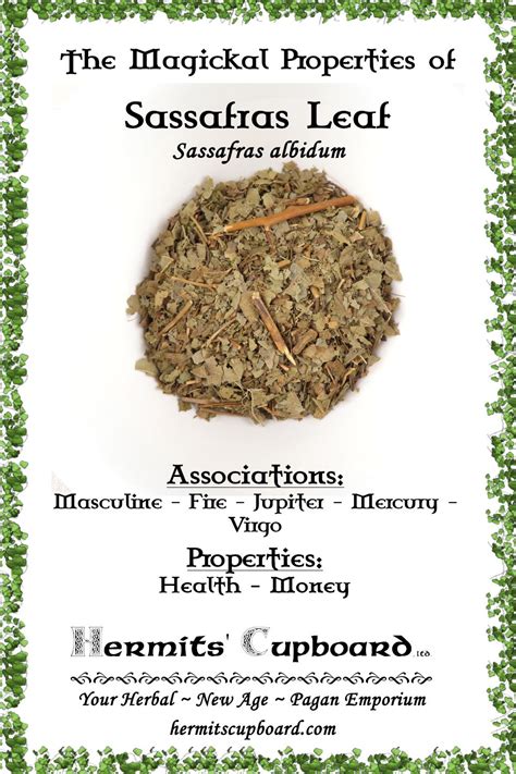 Sassafras Leaf Magickal Properties Sassafras Recipes Sassafras Root