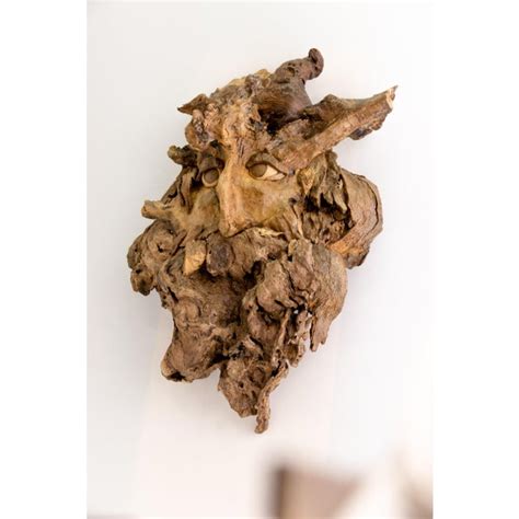 Treebeard Unique Driftwood Artwork Sculpture Chairish