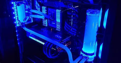 Mesosaurus Album On Imgur