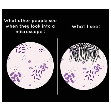 Elabscience Bionovation Inc On Linkedin Labpartner Microscope