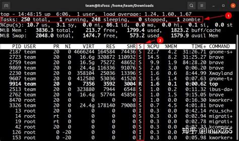 如何查找和杀掉Linux中的僵尸进程 知乎