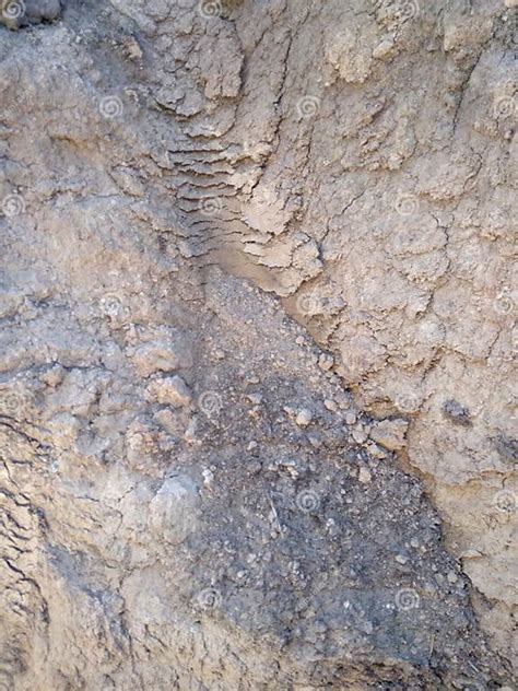 Disturbed Ground Soil Texture Stock Image Image Of Rough Degrade