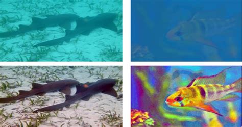 A New Underwater Image Enhancing Method Via Color Correction And Illumination Adjustment