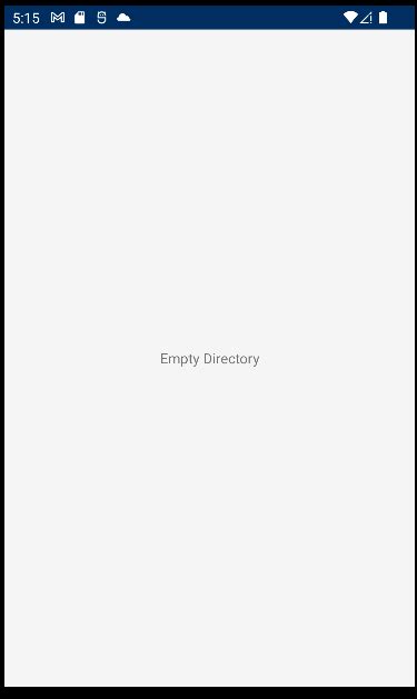 Cannot See File In Documents Directory Even They Are There ANDROID