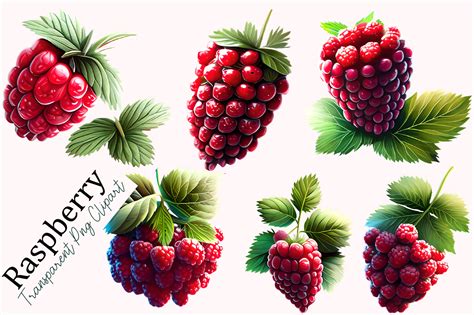 Raspberry Graphic By Png · Creative Fabrica