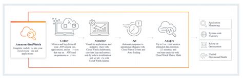 how to perform aws monitoring tools and best practices netreo