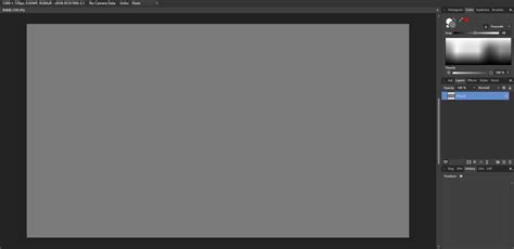 Pixels Missing When Exporting Pictures V1 Bugs Found On Windows Affinity Forum