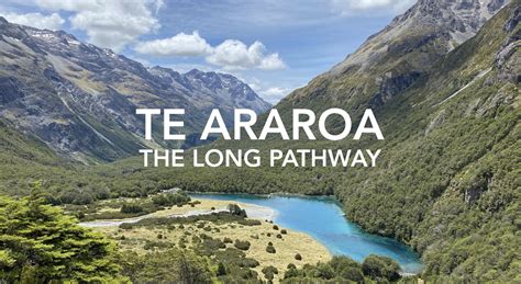 Te Araroa A Stray Life