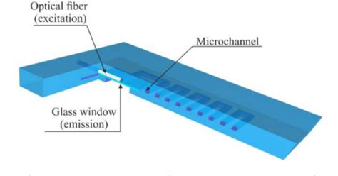 Figure 3 From Fluorescence Sensing Platforms For Epinephrine Detection