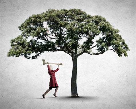 Protect Forests Stock Image Image Of Tree Ecology Timber 59322181