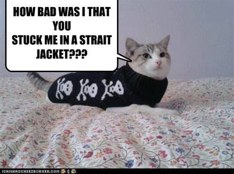 Straight Jacket Memes