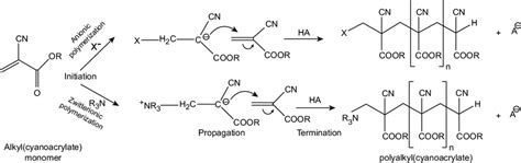 17 Anionic And Cationic Polymerization Techniques Of Download Scientific Diagram