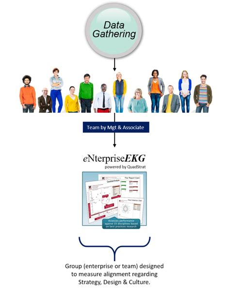Associate Data Gathering Flow Entelligy Building Businesses Better