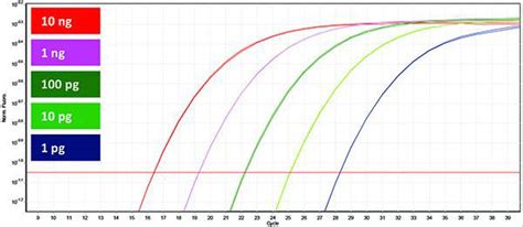 Truscript Reverse Transcriptase And Kits A3p Scientific