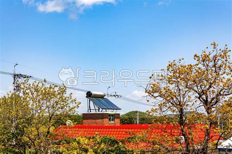 발전 집열판 태양열발전 태양열 태양광 사진이미지일러스트캘리그라피 메추리알작가