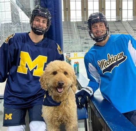 Ethan Edwards Hockey Players Hot Hockey Players Michigan Hockey