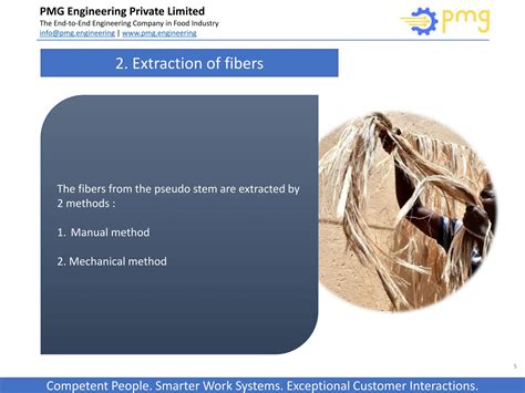 Banana Pseudostem Extraction And Utilizationpptx