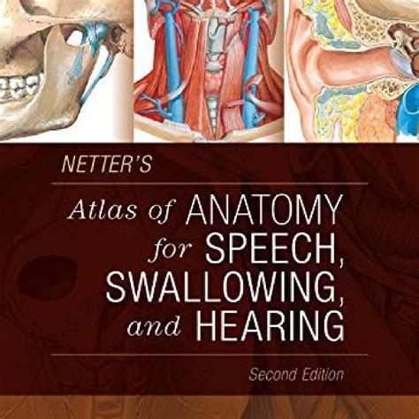 Book Netter S Atlas Of Anatomy For Speech Swallowing And Hearingpdf