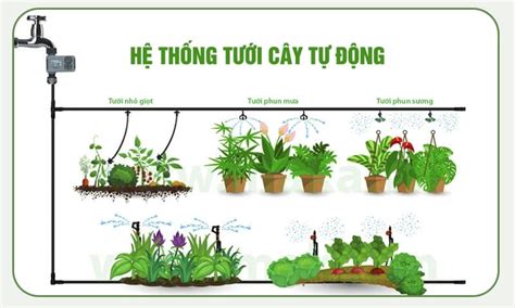 Hệ Thống Tưới Cây Tự động Là Gì Có Công Dụng Gì