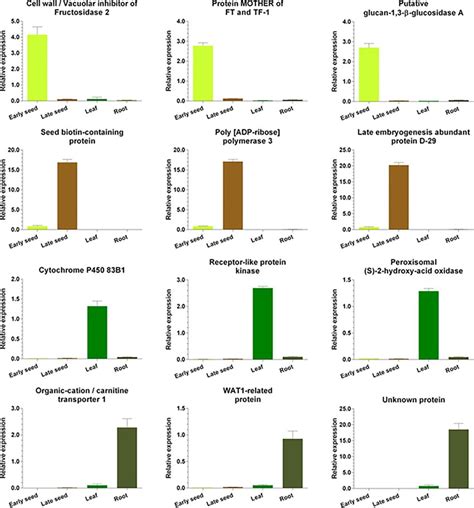 Real Time Pcr Validation Of Gene Expression Obtained Via Rna Seq All