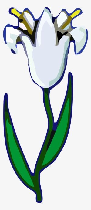 File White Wikimedia Commons Open Scalable Vector Graphics Png Image