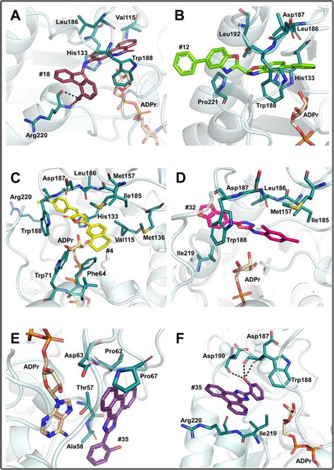 Interactions Of Predicted Poses Of Top Five Compounds With The Binding
